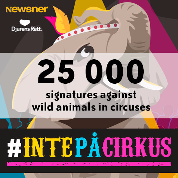 All-time high for campaign against wild animals in circuses | Djurens Rätt