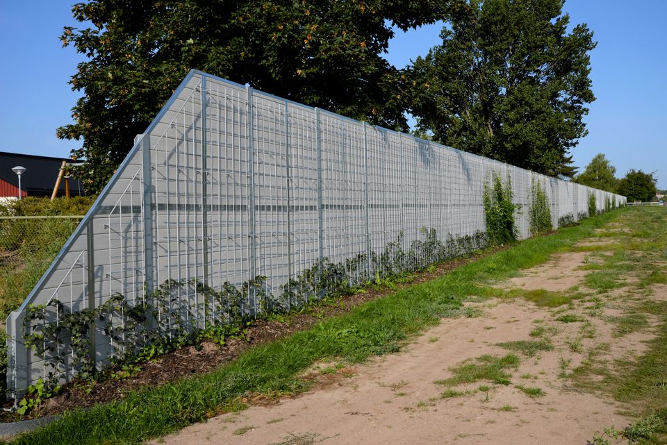 Maja Borg gestaltar bullerskydd vid Ståthöga | Norrköpings kommun