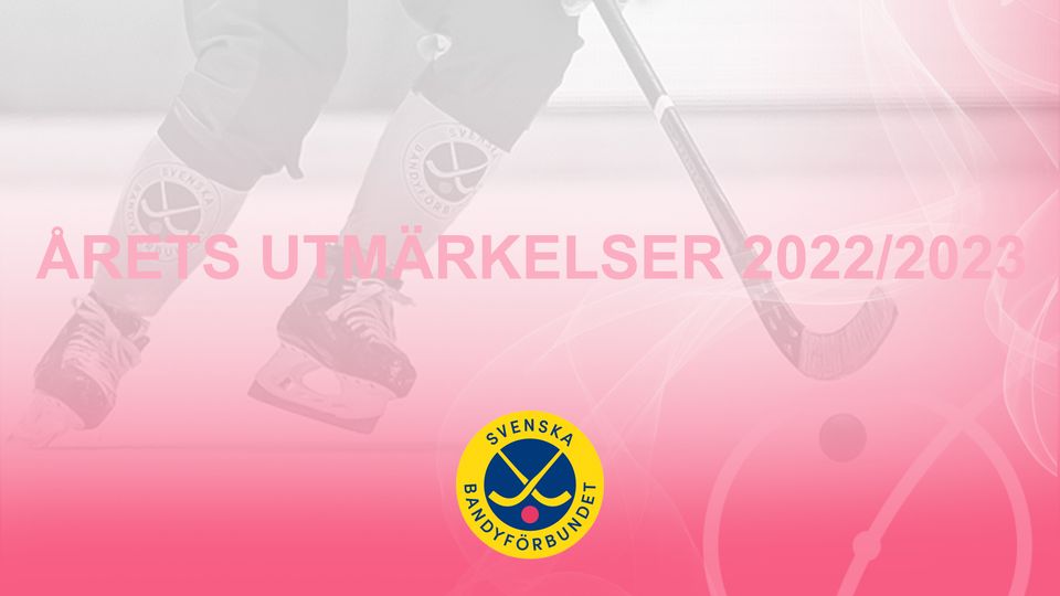 Alexander Karlgren är Årets Komet Herr inom svensk bandy | Svenska ...