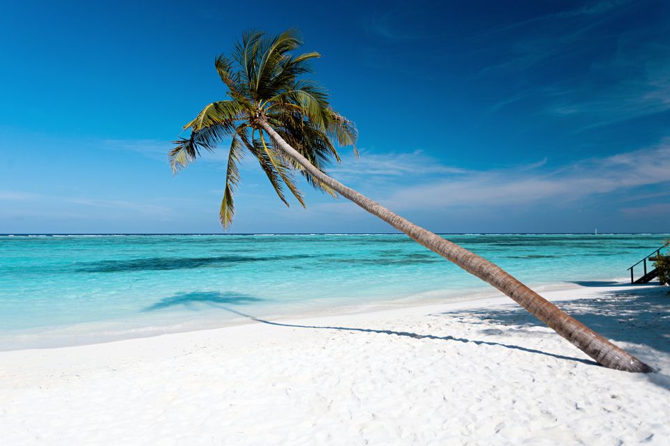 Nu utökar Ving utbudet till Maldiverna - efterfrågan har ökat med över ...