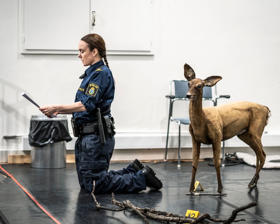 Populära tv-deckare ställs inför verkliga kriminalfall | Dramaten