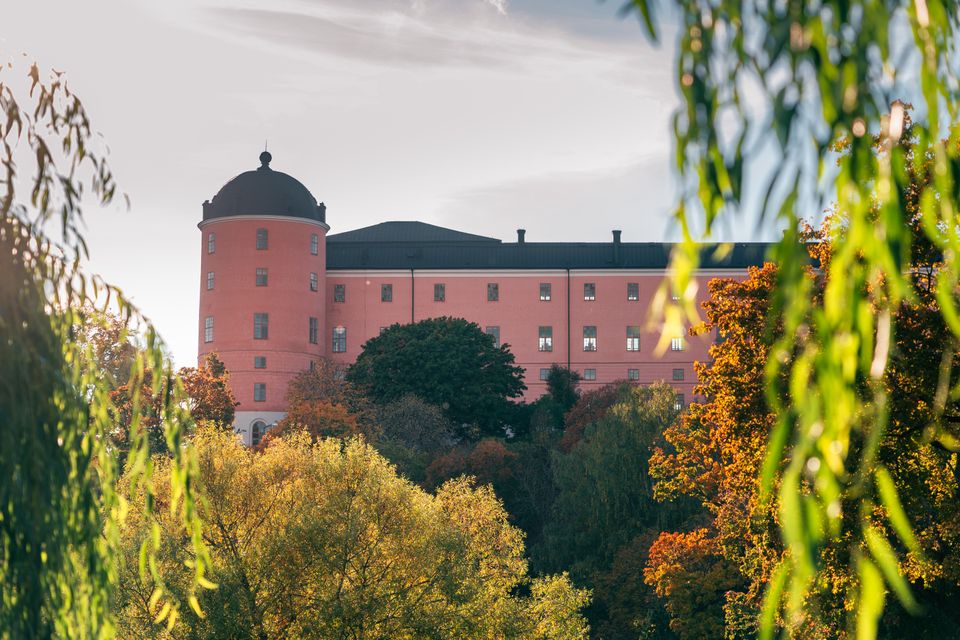 Biotopia, Uppsala konstmuseum och Reginateatern stänger tillfälligt ...
