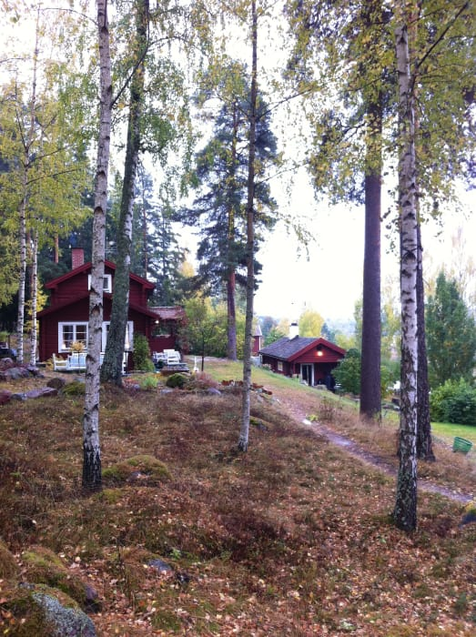 Skador för miljoner i vinterstängda stugor | If Skadeförsäkring