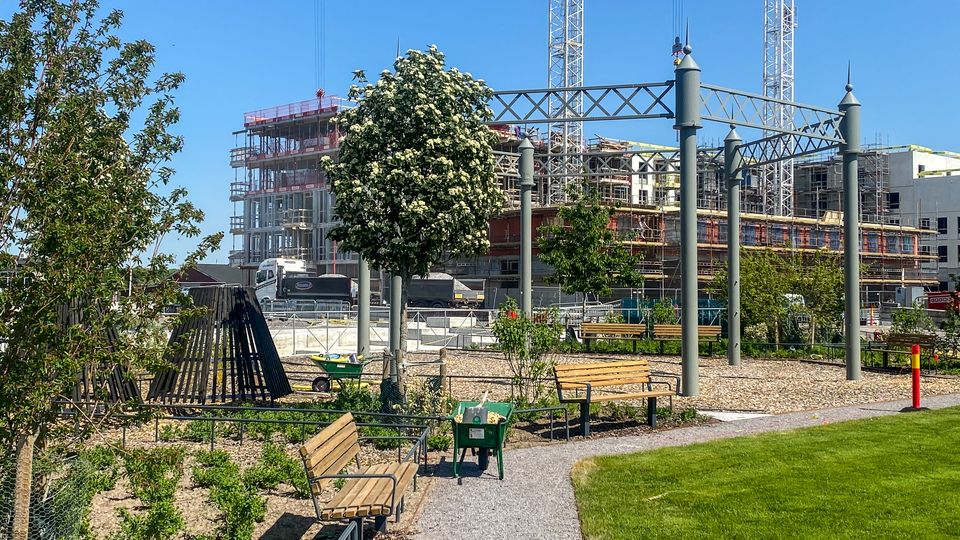 Inre hamnen öppnar den 6 juli | Norrköpings kommun