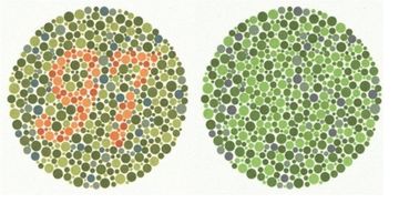 Färgblindhet – så funkar det: Är du färgblind utan att veta om det ...