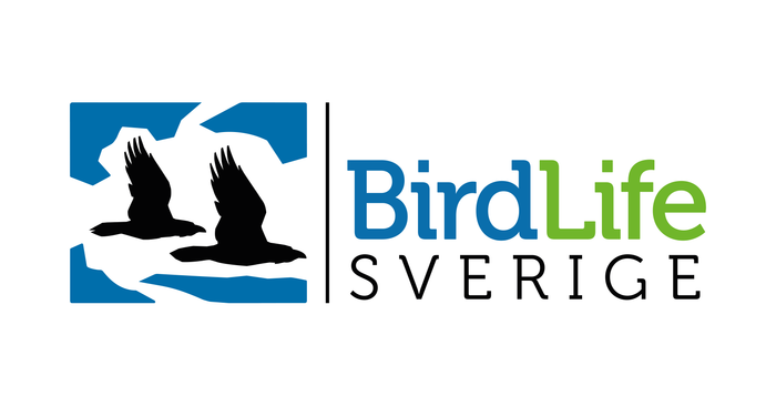 Pressmeddelanden | Birdlife Sverige