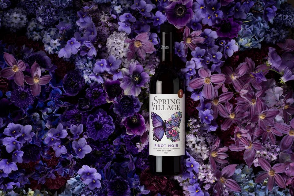 Lätt tillökning i fast sortiment – Spring Village Pinot Noir | Spring ...