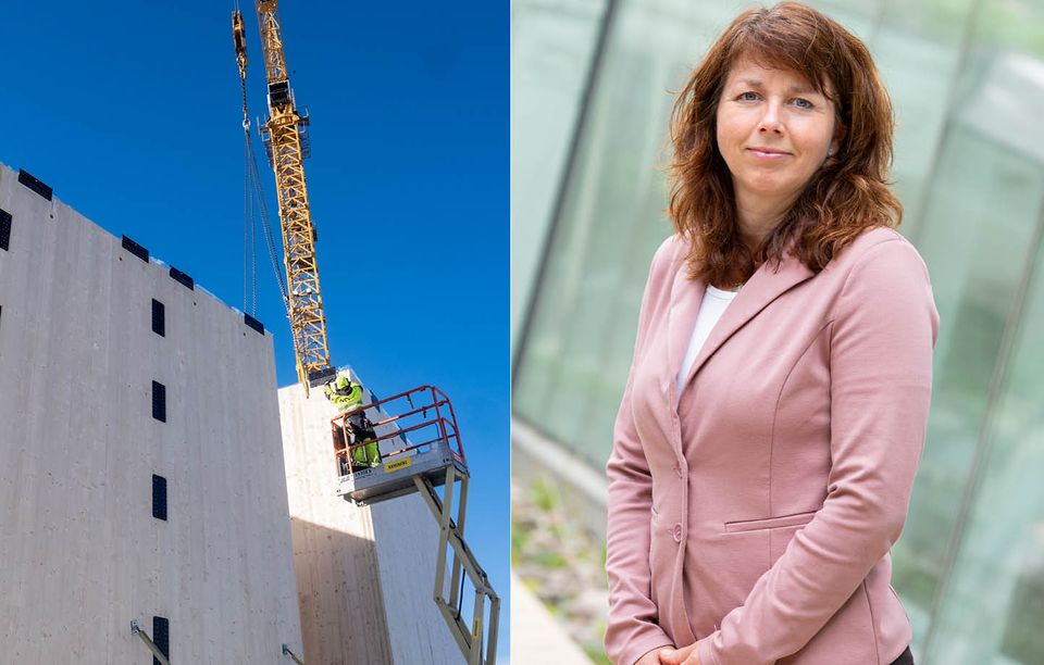 Regeringen bör införa skarpare gränsvärden för klimatdeklarationer av ...