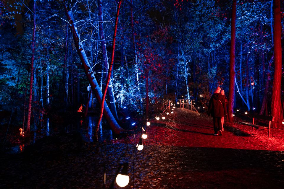 Succépremiär för Skansens nysatsning Winter Lights | Stiftelsen Skansen