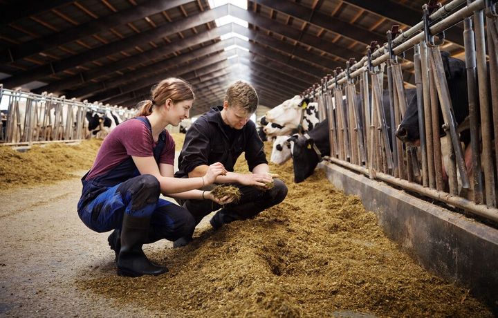 Miljonutbetalning till klimatsmarta Arlabönder | Arla