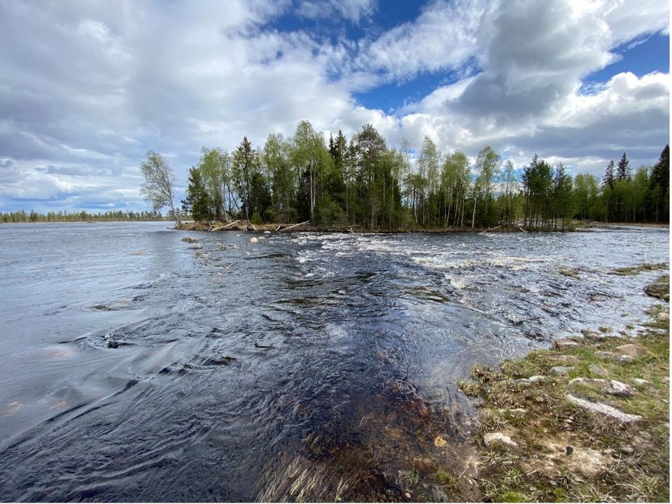 Ny rapport: Strömmande vatten är mer än kilowattimmar | WWF
