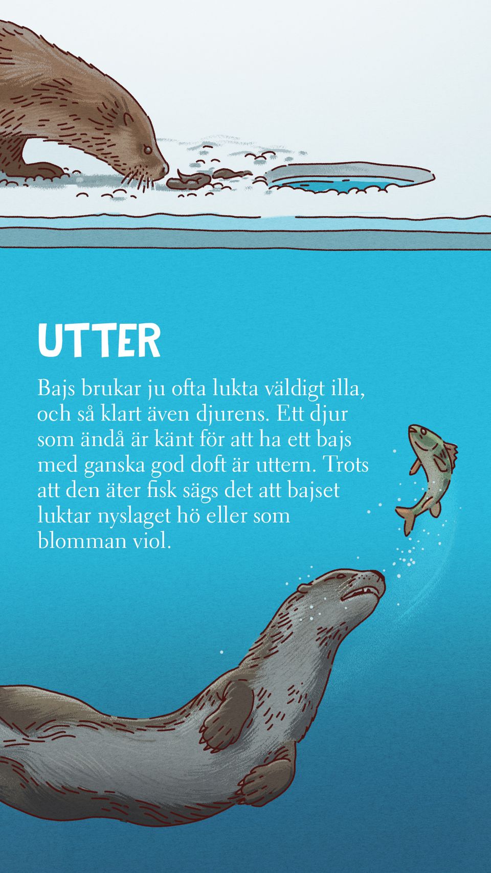 WWF ger ut barnbok om bajsande djur | WWF