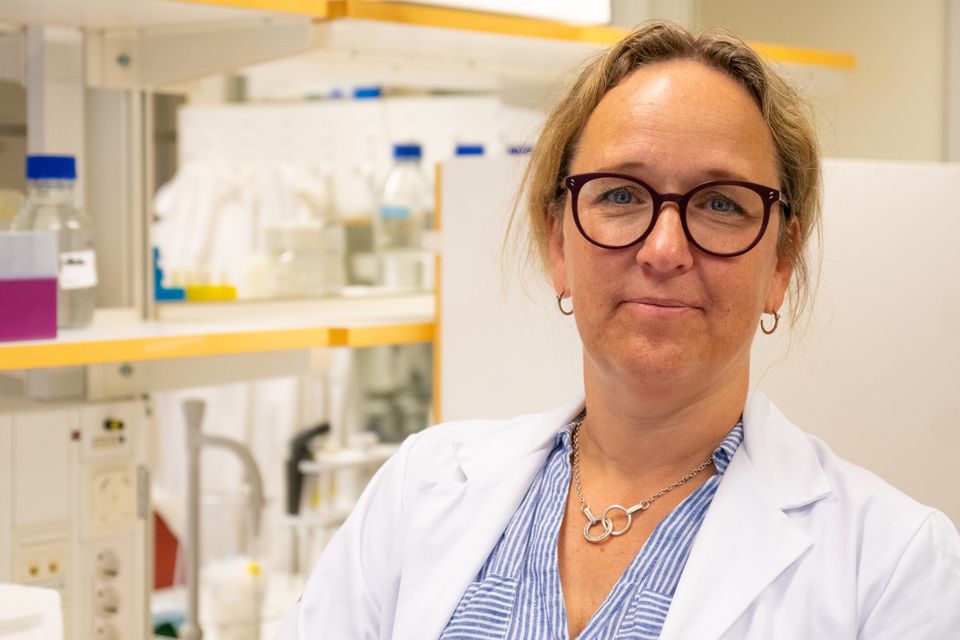 En miljard till den främsta cancerforskningen under 2024 - rekordstor ...