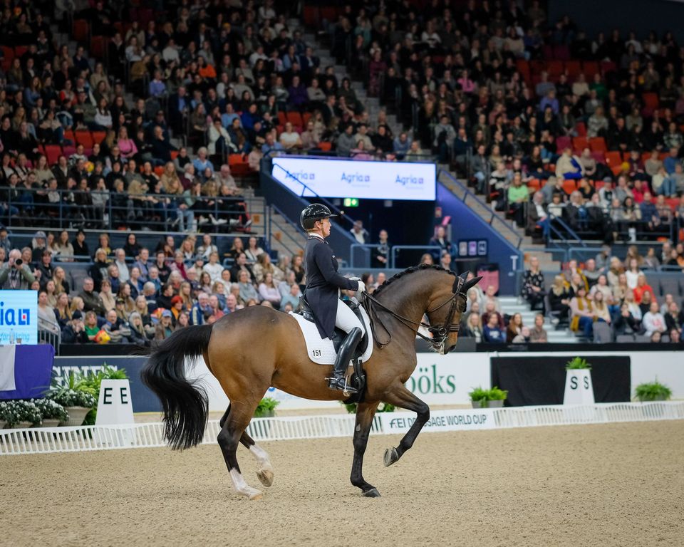 "Dance" and Carina turned Scandinavium up to boiling point | Gothenburg ...