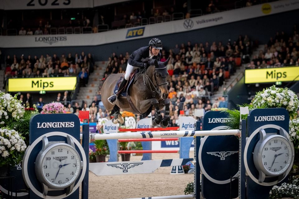 French victory by unbeatable Dilasser in the European final ...