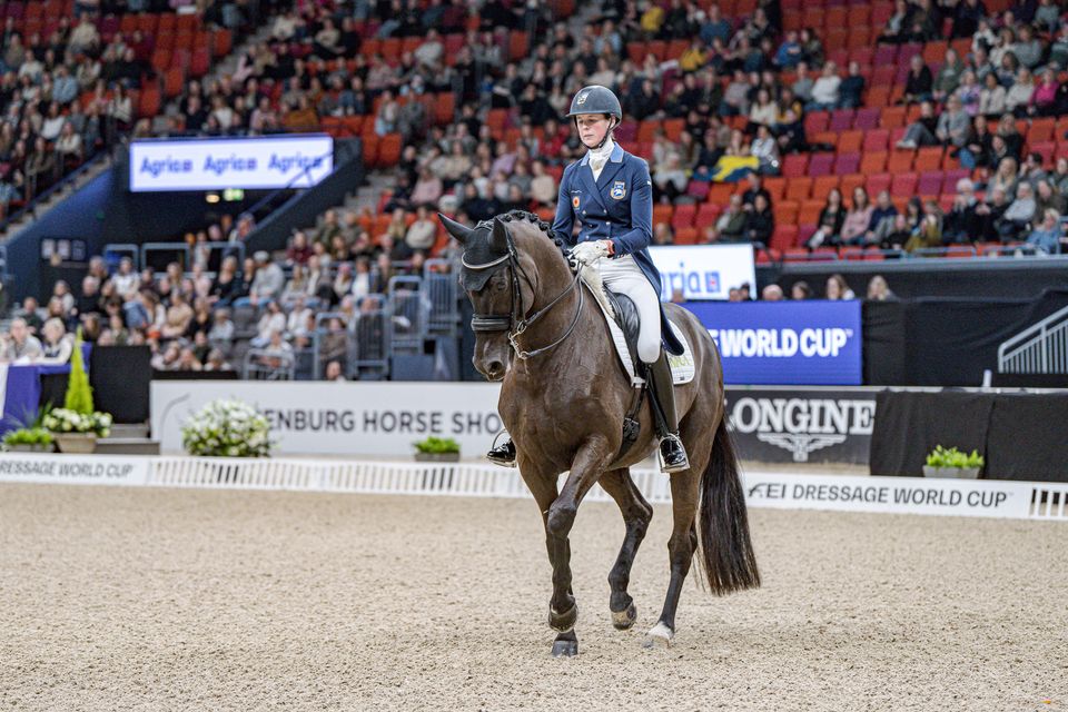 Dressyrens all time high i Scandinavium | Gothenburg Horse Show
