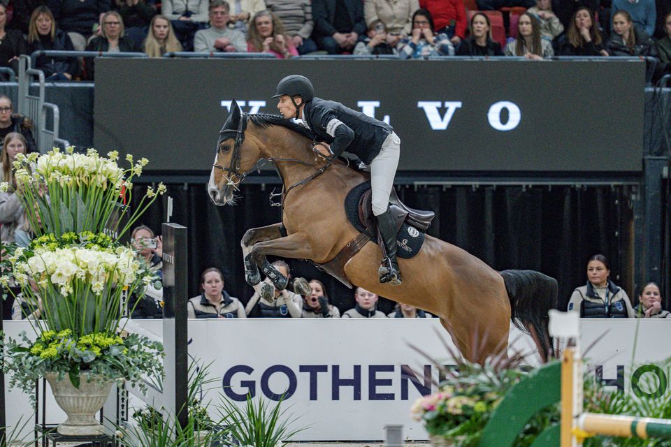 Scandinavium Rose to Its Feet for the King | Gothenburg Horse Show